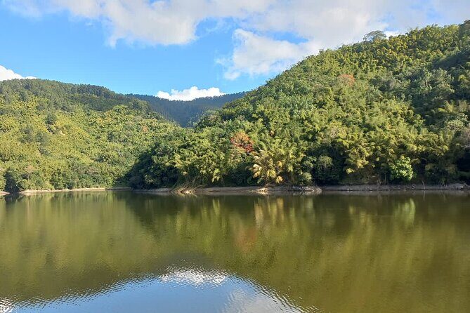 Healing Guided Nature Experience and Waterfall Brunch in Jamaica - Who Would Enjoy This Tour?