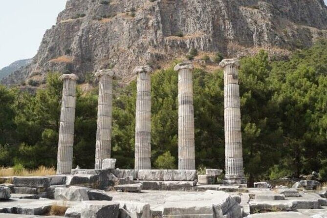 Heart of Aegean: Private Priene - Miletus - Didyma Tour - Reviews and Authentic Perspectives