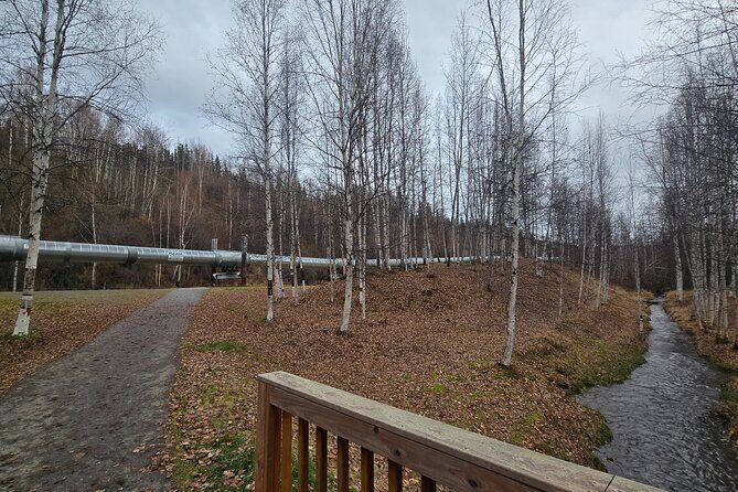 Heart of Fairbanks Tour Culture, Food, History and Fun - Key Points