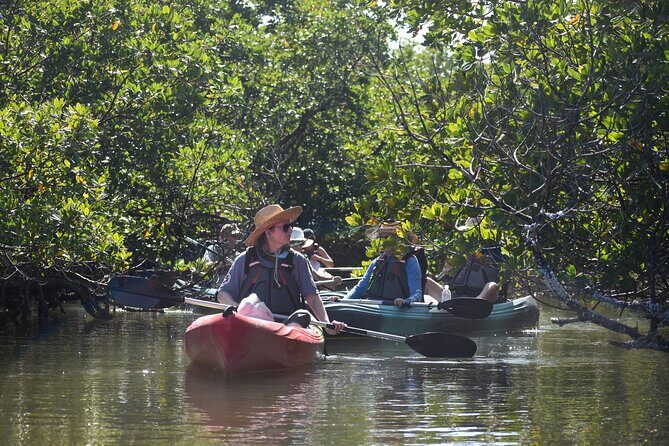 Heart of Rookery Bay Kayak Tour - How the Tour Starts and What You Can Expect