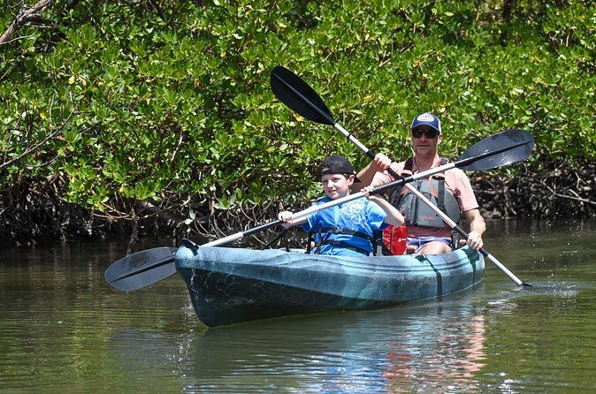 Heart of Rookery Bay Kayak Tour - The Itinerary Breakdown