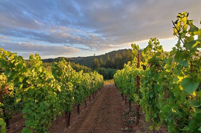 Heart of Willamette Winery Pass : Wine Tastings and Discounts - An Introduction to the Oregon Wine Experience