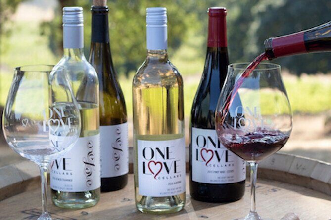 Heart of Willamette Winery Pass : Wine Tastings and Discounts - Authentic Experiences and Considerations