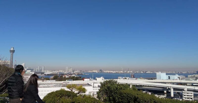 "Heart of Yokohama" Walking: Experience Hill Area - Introduction: Why This Tour Resonates