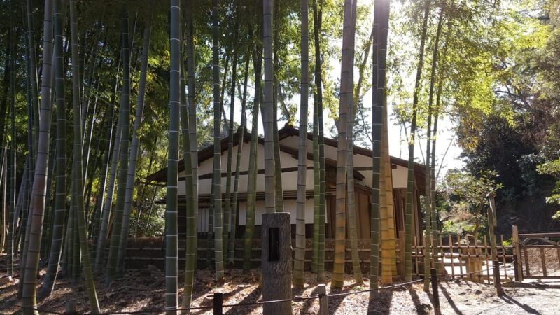 "Heart of Yokohama" Walking: Experience Hill Area - Final Reflection: Authenticity and Scenic Beauty