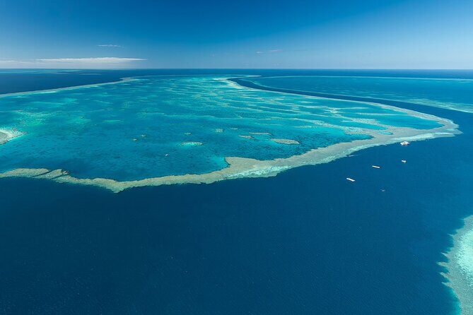 Heart Reef & Whitehaven Rest and Relax - 2.5Hr Helicopter Tour - The Sum Up