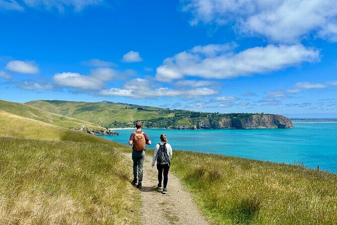 Heartbeat of the City: Christchurch Walking Tour for Couples - Who Should Consider This Tour?