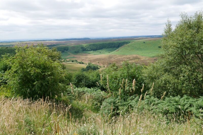 Heartbeat TV Locations Tour of Yorkshire - Ideal For: Who Should Consider This Tour?