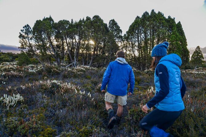 Heartlands Odyssey Comfort Tour 4 Days - Practical Considerations