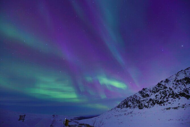 Heated and Enclosed ATV Tour in Alaska. Open All Year Round - The Sum Up