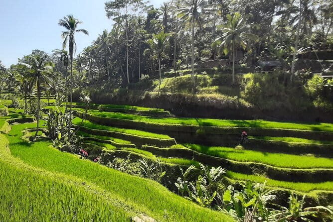 Heaven Gate, Tirtagangga and Tukad Cepung Waterfall - All Inclusive - What’s Included and What’s Not?