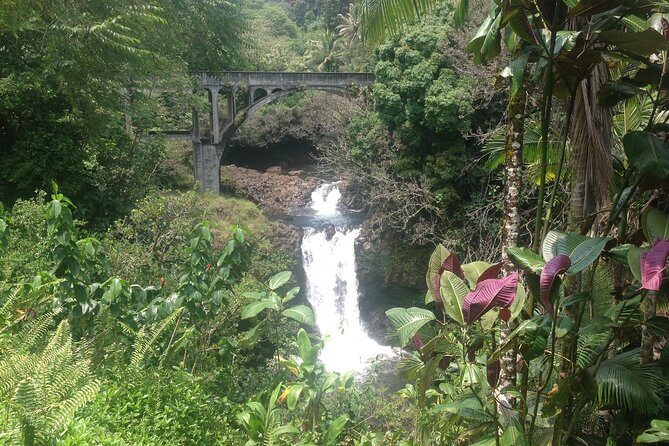 Heavenly Hamakua: From Kona - Who Will Enjoy This Tour?