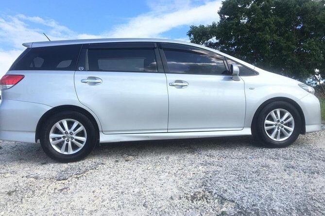 Hedonism II Private Airport Pick ups & Drop off - Who Should Book This Service?