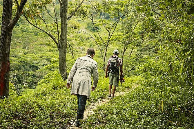 Heeloya Village Trek from Kandy - Exploring the Heeloya Village Trek from Kandy: A Detailed Review