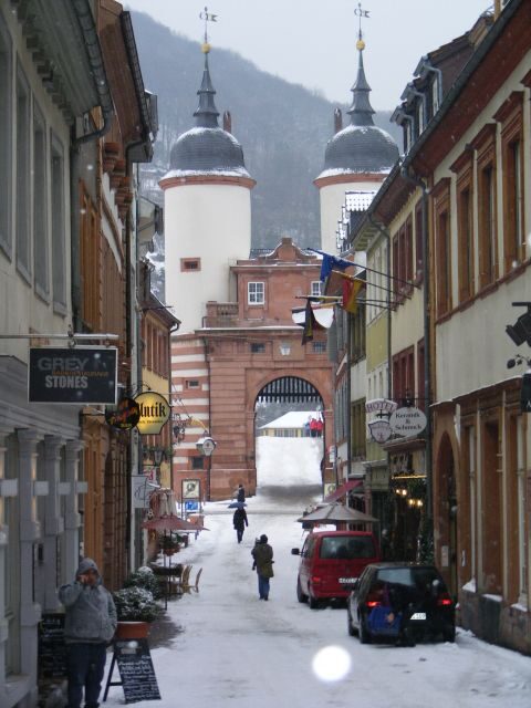 Heidelberg: 2-Hour Crime Tour with Costumed Guide - Practical Tips for Travelers
