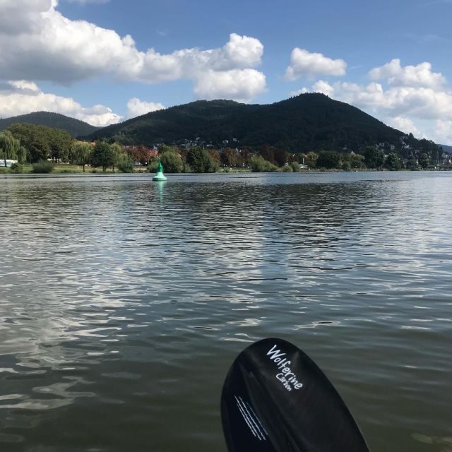 Heidelberg: 2-Hour Kayak Tour - Practical Details and Tips