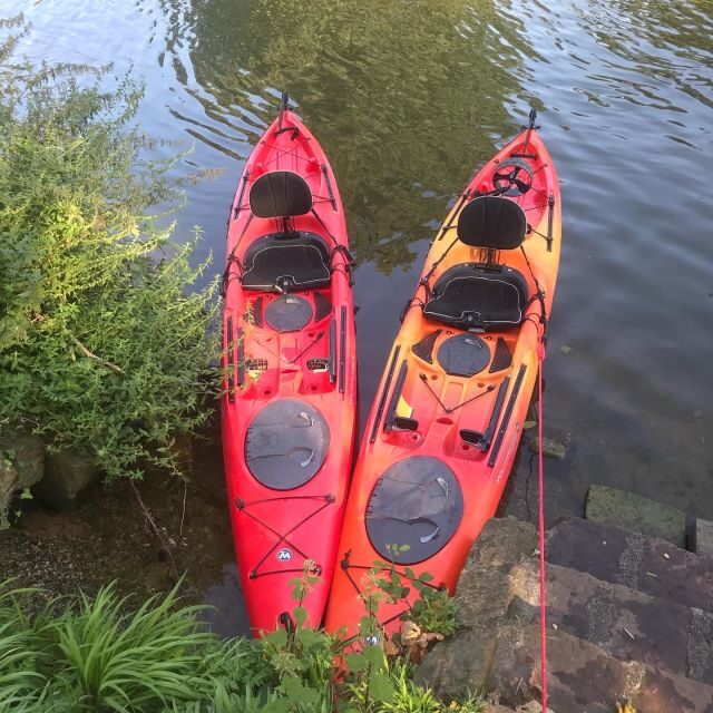 Heidelberg: 2-Hour Kayak Tour - Who This Tour is Best For