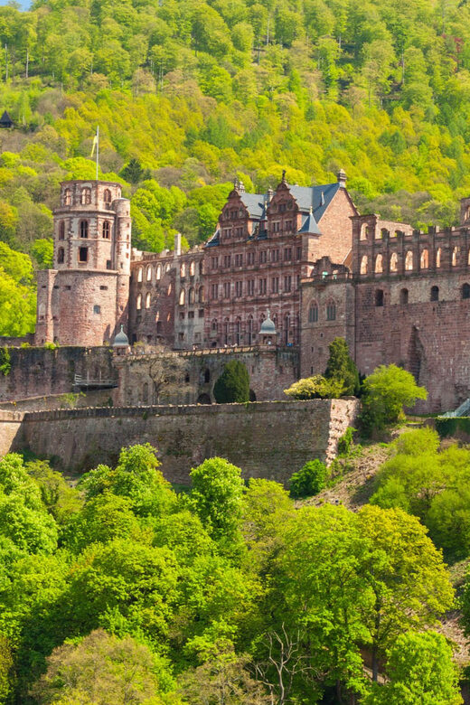Heidelberg and Rhine Combination Tour from Frankfurt - Exploring Heidelberg: Medieval Charm and Castle Grandeur