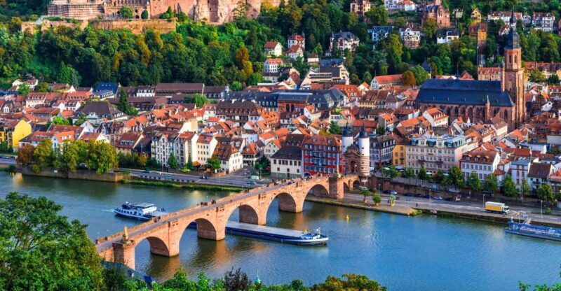 Heidelberg and Rhine Combination Tour from Frankfurt - Savoring Local Flavors: Wine Tasting and Dinner