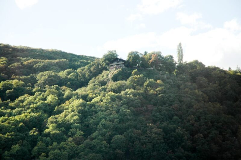 Heidelberg and Rhine Combination Tour from Frankfurt - Authentic Traveler Perspectives