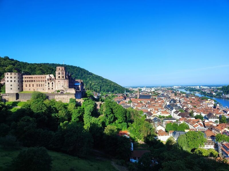 Heidelberg Castle - The Highlights in 1 h EXPRESS TOUR - Authentic Experiences and Traveler Insights
