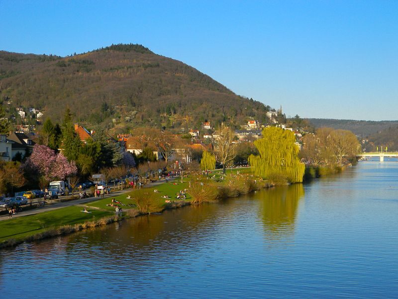 Heidelberg Castle Tour: Residence of the Electors - Introduction