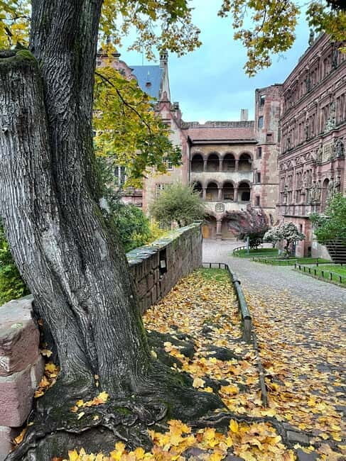 Heidelberg: Discover Heidelberg Castle - experience history up close - The Sum Up