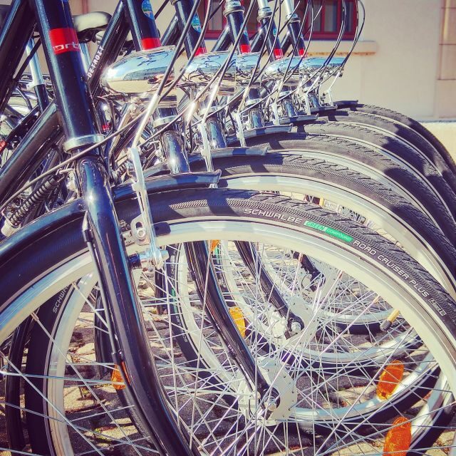 Heidelberg: Guided Bike Tour - Practical Tips for Participants