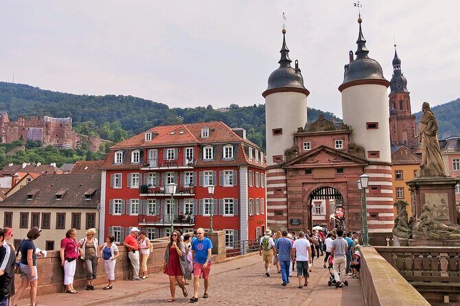 Heidelberg Heritage: Private Old Town and Castle Tour - Introduction
