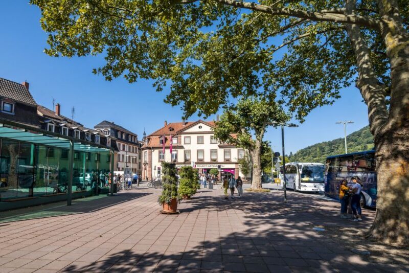 Heidelberg: Sightseeing Bus and Castle Tour - Starting Point and Logistics