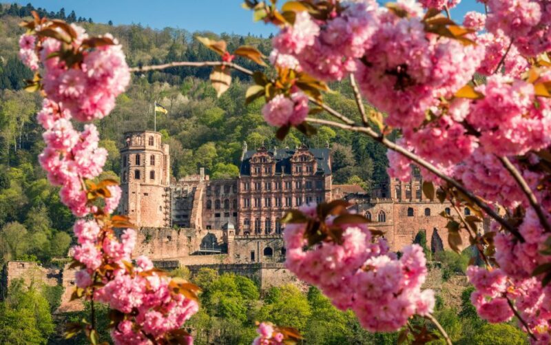 Heidelberg: Sightseeing Bus and Castle Tour - The Bus Tour: First Impressions