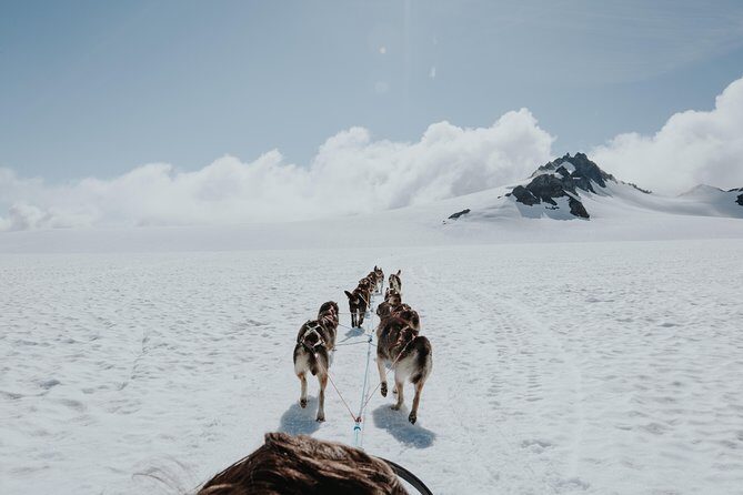 Helicopter Glacier & Dog Sledding Adventure Tour - Discovering the Itinerary