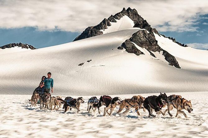 Helicopter Glacier & Dog Sledding Adventure Tour - Authentic Reviews: What Travelers Say