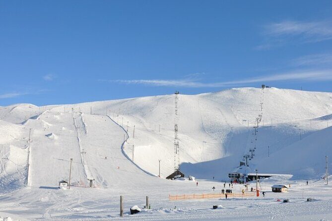Helicopter tour from Reykjavik: Hengill Area with at site landing - The Sum Up