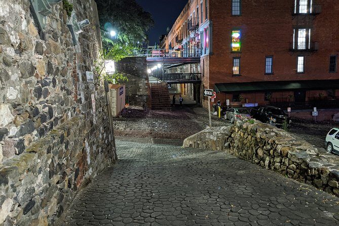 Hell Cat Ghost Tour - Savannah's Haunts and Horror - The Drawbacks and Considerations