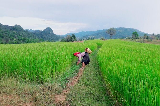 Hello, who like to make fantastic trek with the most experienced guide in Kalaw. - The Sum Up