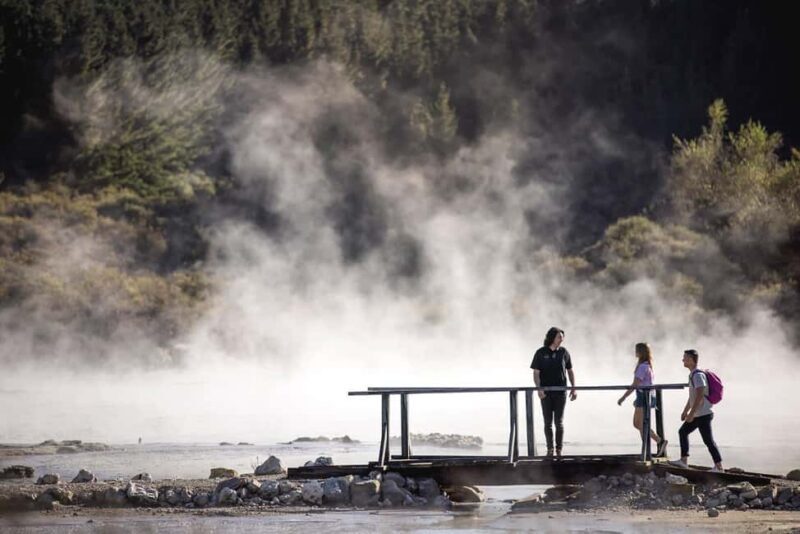 HELL'S GATE Mud Spa, Rotorua - Group Day Tour Ex Auckland - FAQ