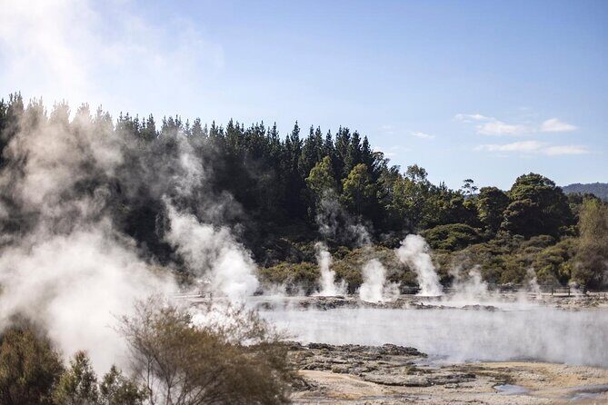 Hell's Gate Mud Spa & Thermal Park Group Day Tour from Auckland - FAQ