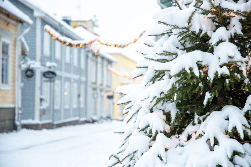 Helsinki: All highlights & Medieval Porvoo by VIP Car - An In-Depth Look at the Tour Experience