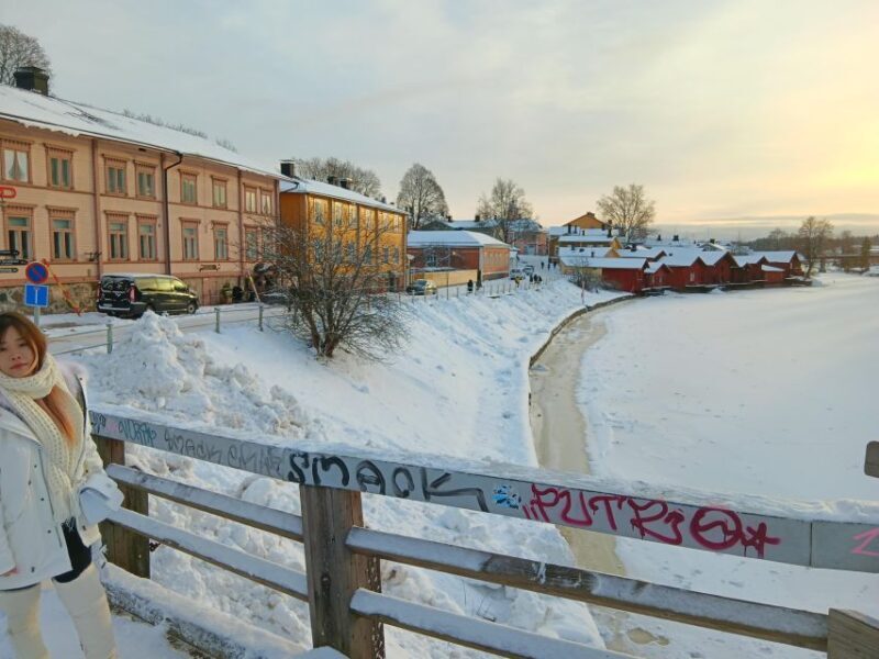 Helsinki And Porvoo Tour by Private Car with Personal Guide - The Personal Guide Experience