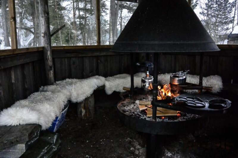 Helsinki: Arctic Hovercraft Experience with Lunch - The Itinerary: What You Can Expect