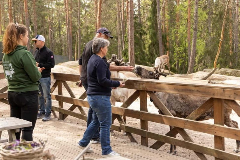 Helsinki: Buggy Ride, Reindeer Farm Visit, and Picnic - Introduction