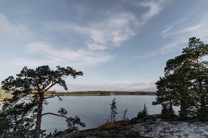 Helsinki by Kayak - Who Will Love This Tour?
