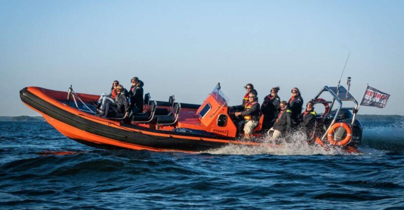 Helsinki: City and Outer Islands Guided RIB Boat Tour - An In-Depth Look at the Tour Experience