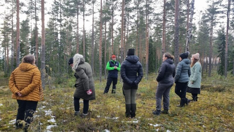 Helsinki: Guided Nature Experience with Campfire and Meal - Helsinki: Guided Nature Experience with Campfire and Meal — A Practical, Authentic Finnish Escape