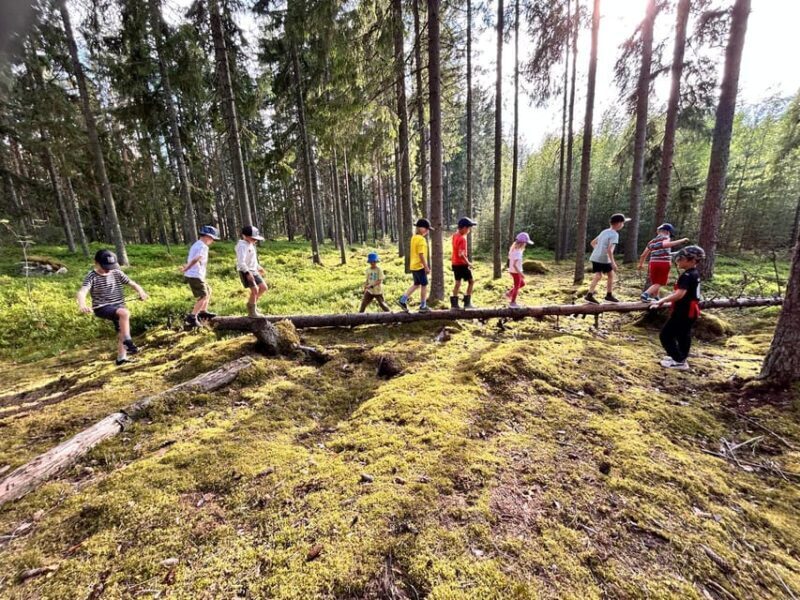 Helsinki: Guided Nature Experience with Campfire and Meal - Key Points