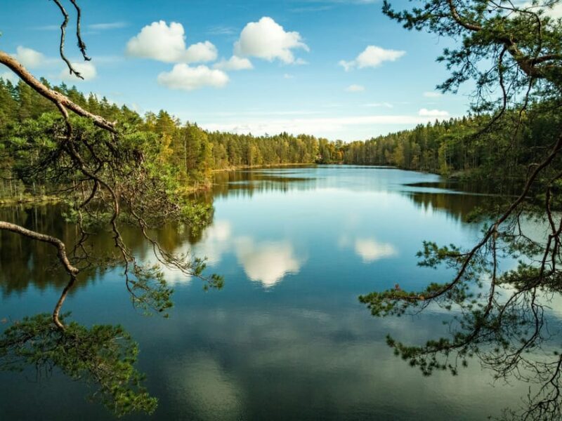Helsinki: Nuuksio National park hiking with campfire lunch - A Full Breakdown of the Experience