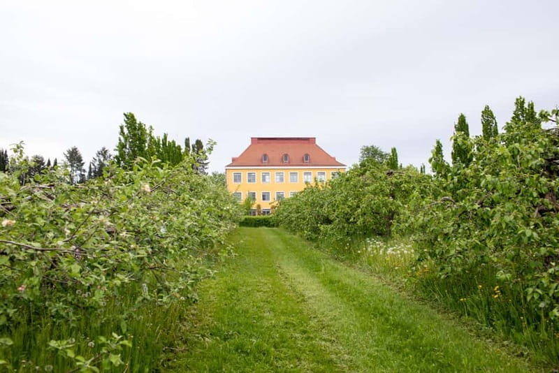 Helsinki: Private Visit to Finnish Berry Winery with Tasting - The Cost and Value