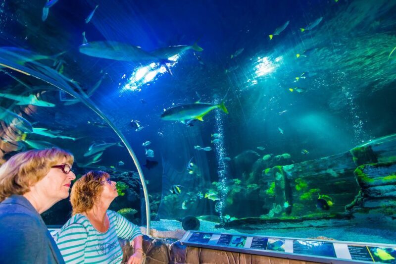 Helsinki: Sea Life Entrance Tickets - Final Thoughts