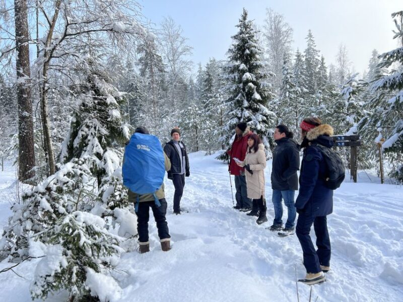 Helsinki: Winter Wonderland Liesjärvi National Park Hike - An In-Depth Look at the Tour Experience